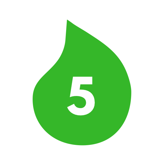 Paulson Development Group