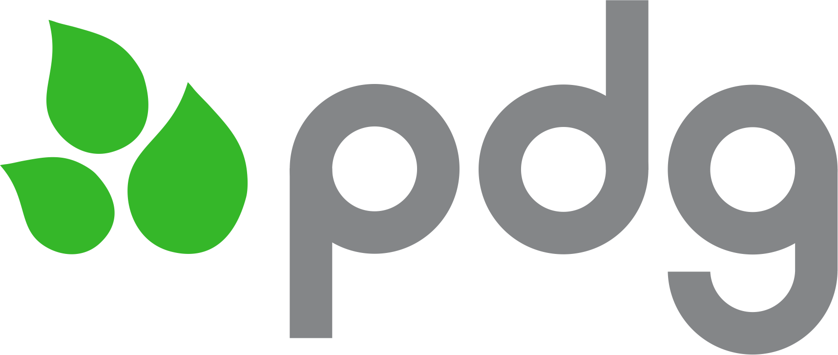 Paulson Development Group